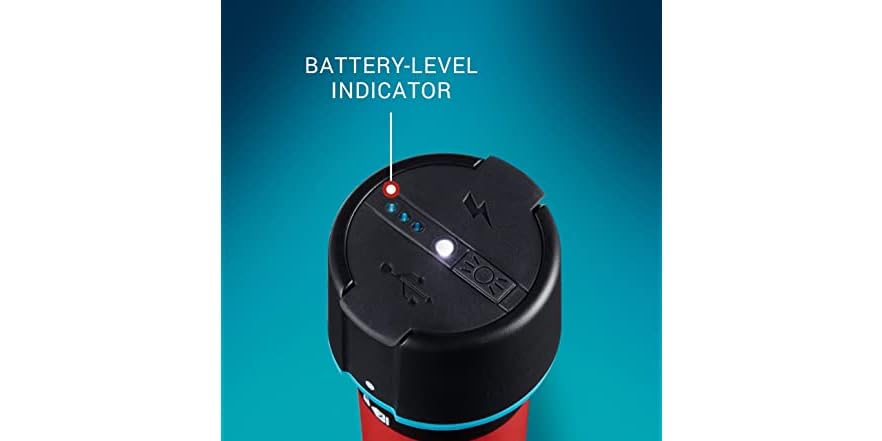 Coleman OneSource Rechargeable Battery 4 Pack