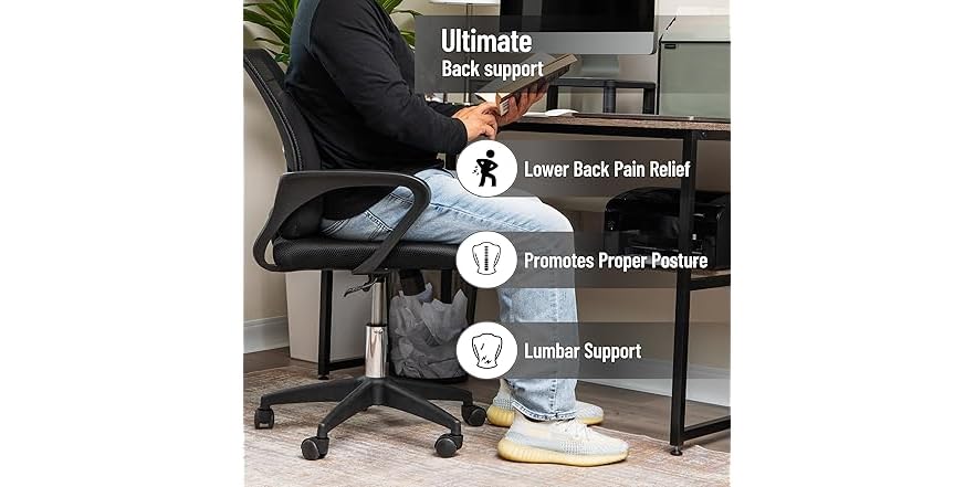Mind Reader Lumbar Support Pillow