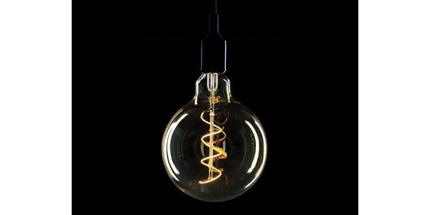 5" x 7" LED Edison Bulb with 10' Cord