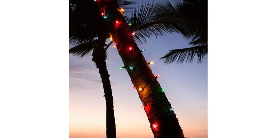 CELEBRITE Solar Multicolor String Light