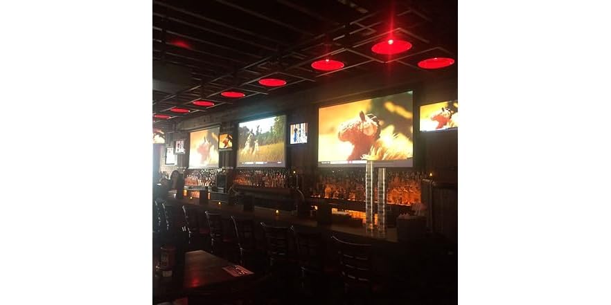 Elite Spectrum 100" Projector Screen