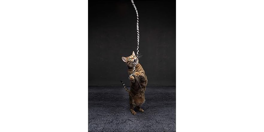 CAT DANCER Jungle Cat Wand (Pack of 2)