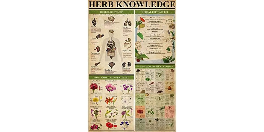 Herb Knowledge Poster