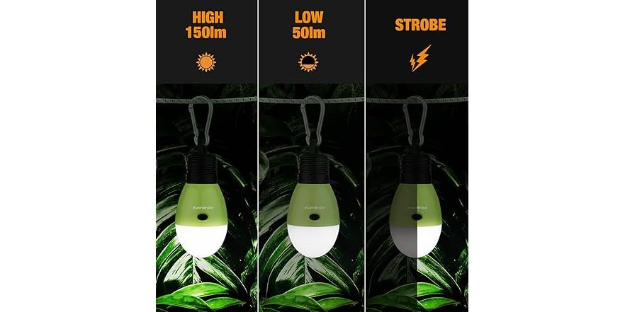 EverBrite Rechargeable Portable Light, Green