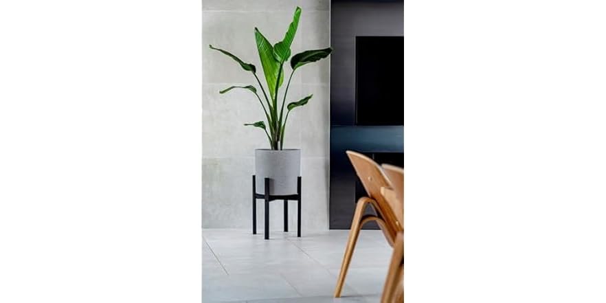 VITA Vaxa Self-Watering Planter with Stand