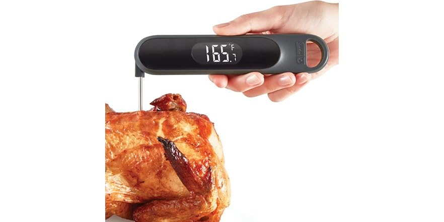 Dash Precision Quick-Read Meat Thermometer