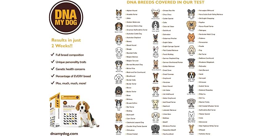 DNA My Dog Breed Identification Kit