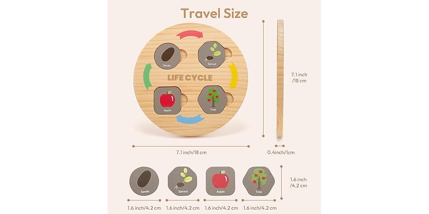 12 Themes Life Cycle Toys for Kids