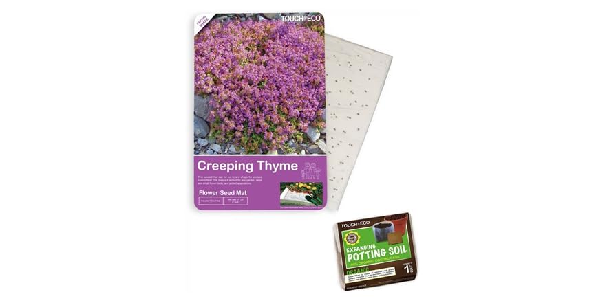 Creeping Thyme Seed Mat Kit