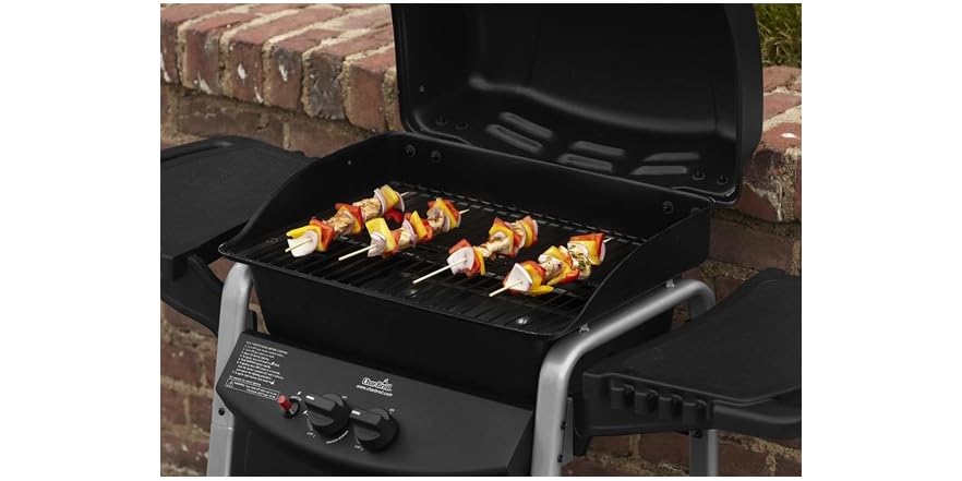 BBQ Pro 2-Burner Grill
