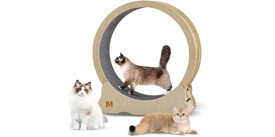 Cat Exercise Wheel for Indoor Cats