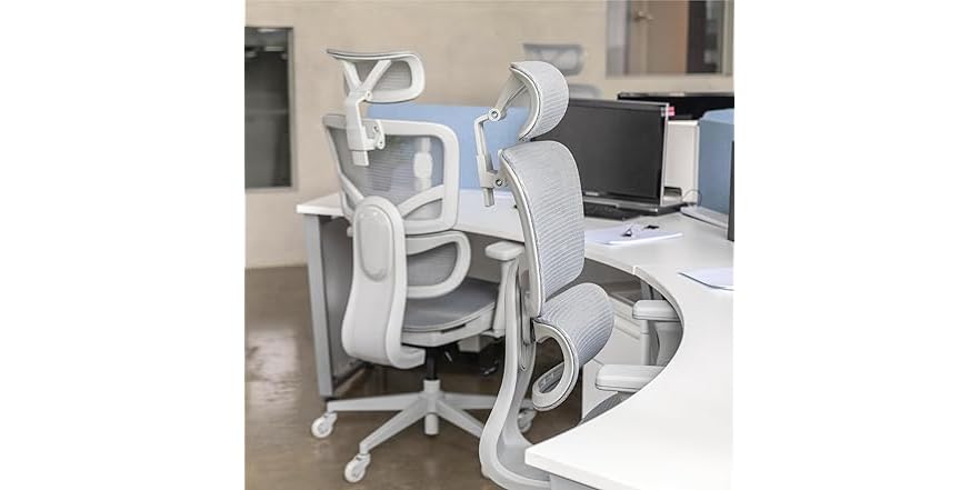 Wellnewlife Prestige Ergonomic Office Chair, Grey