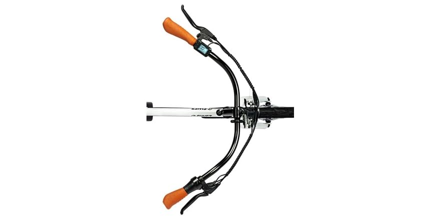 SWFT Fleet - 500W Class-2 Cruiser E-Bike