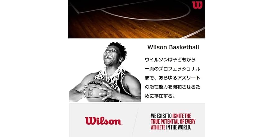 WILSON NBA Forge Pro UV Indoor/Outdoor B