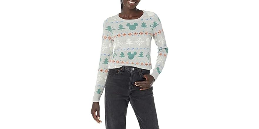 Amazon Women's Disney Sweater