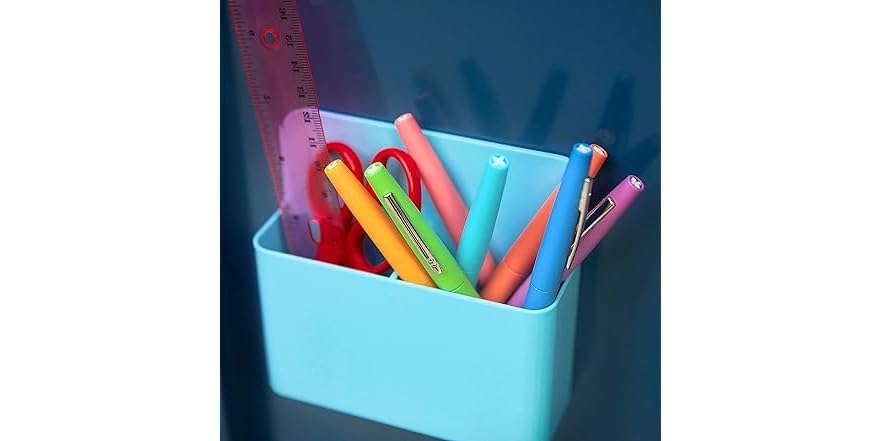Paper Mate Paper Mate Flair Felt Tip Pens