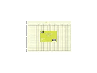 Staples 217893 Columnar Pads 13 Columns
