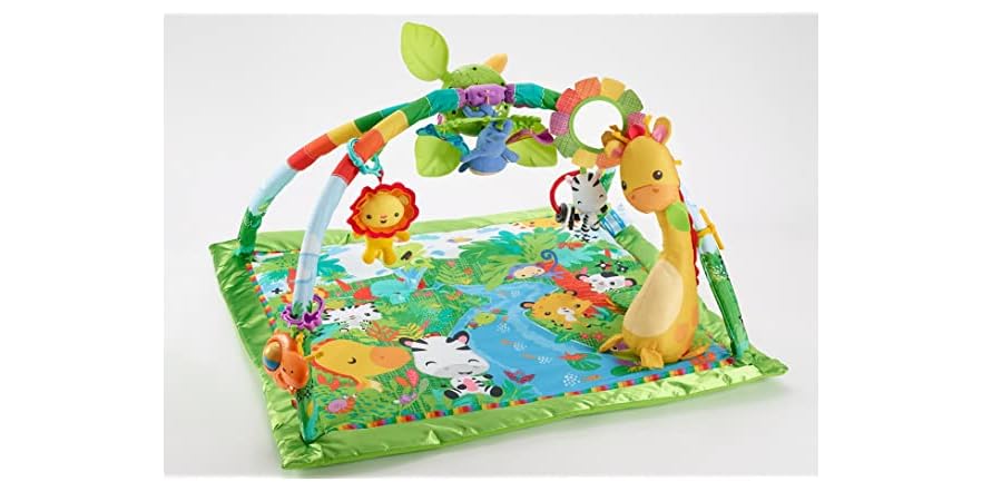 Fisher-Price Rainforest Gym
