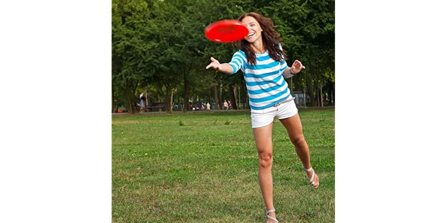 Collapsible Flying Disc Toss Target Skill Game