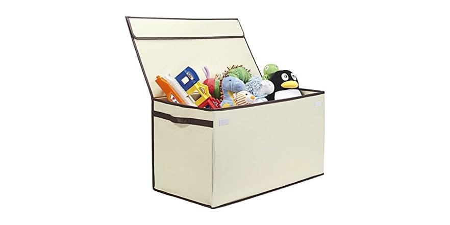 Collapsible Toy Chest