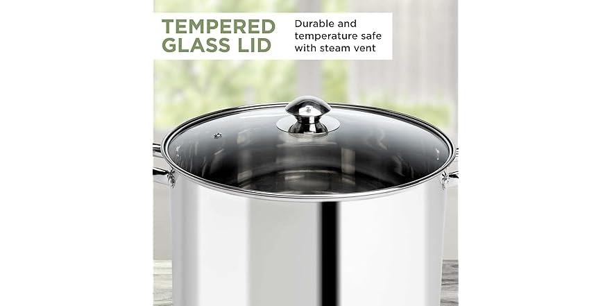 Ecolution Stainless Steel Stock Pot