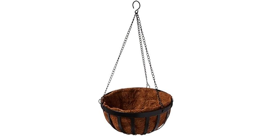 Gardman R945 Forge Hanging Basket with C