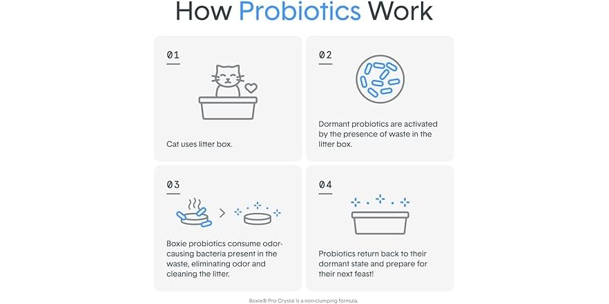 Boxie® Pro™ Non-Clumping Crystal Kitty Litter