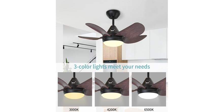 CJOY 30" Ceiling Fan with Lights