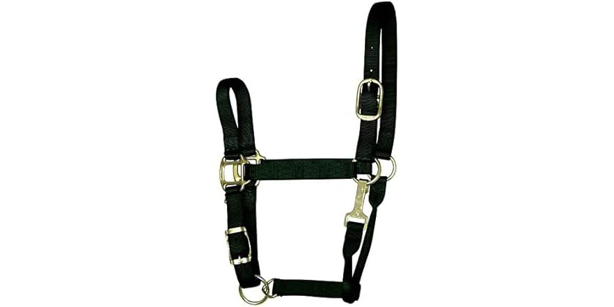 Hamilton 1" Nylon Adjustable Halter with Chin Snap