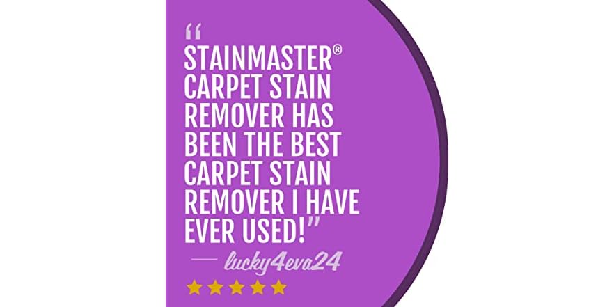 STAINMASTER Carpet Stain Remover 2 Pack