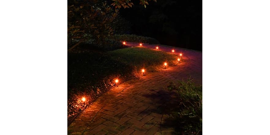 Electric Pathway Lights with 10 Orange Bulbs