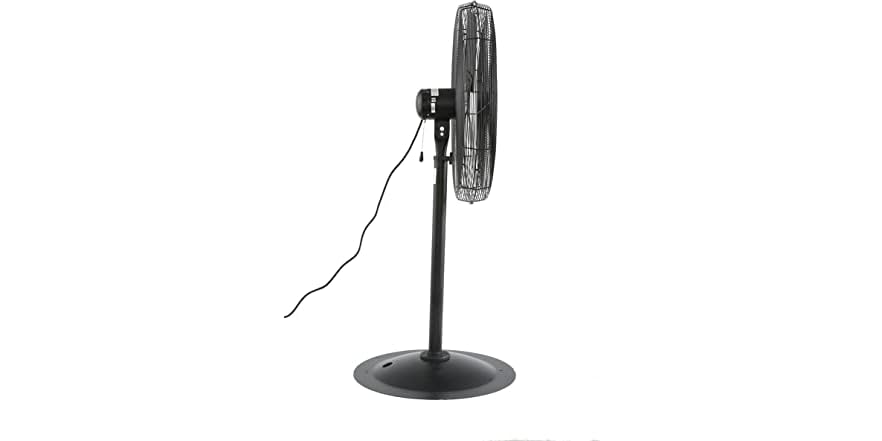 iLiving 30" Non-Oscillating Pedestal Fan
