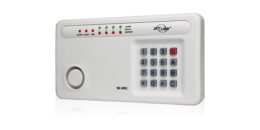 Skylink Security System