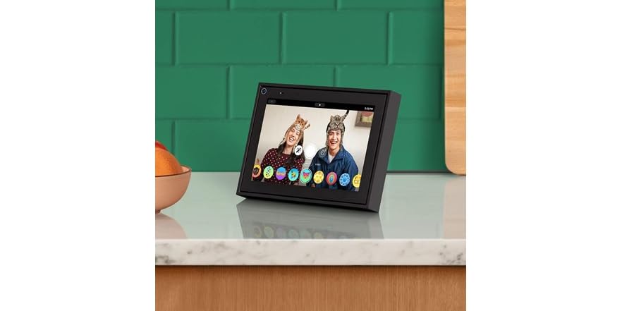 Facebook Portal Mini