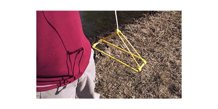 Golden Retriever Golf Disc Retriever