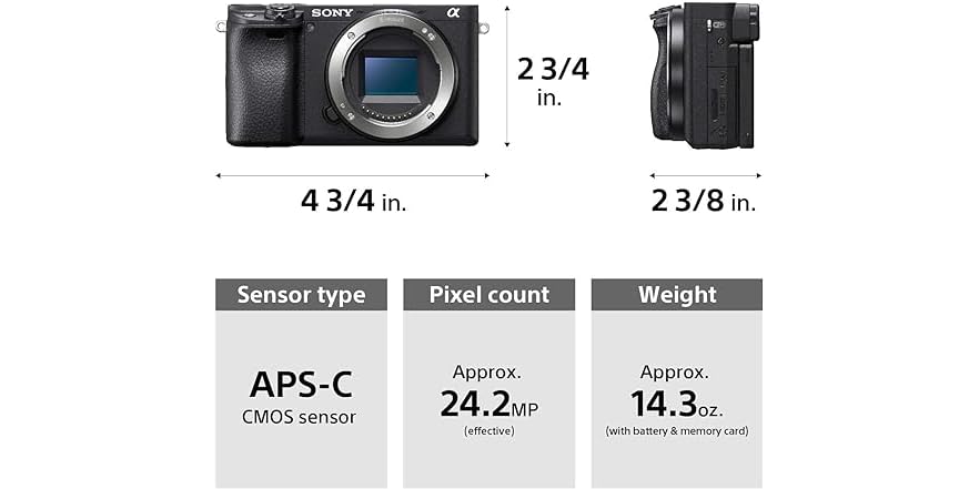 Sony Alpha a6400 Mirrorless Camera