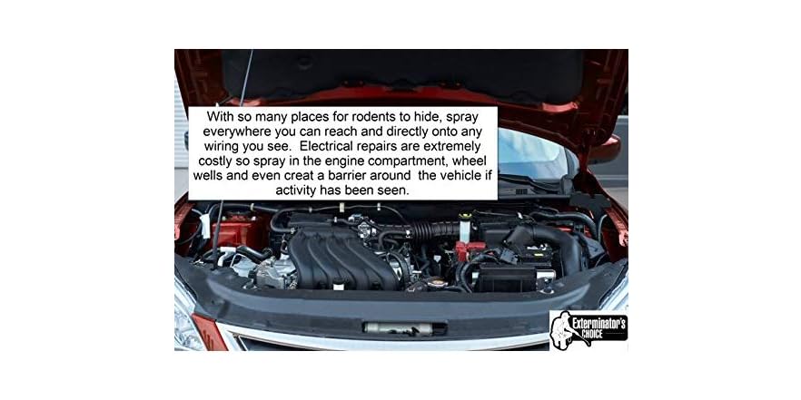 Rodent Defense Vehicle Protection