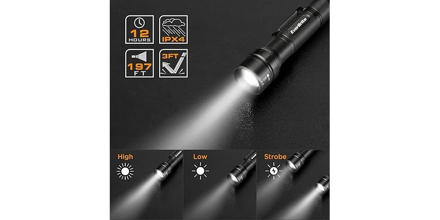 EverBrite 120 Lumen Aluminum LED Flashlight