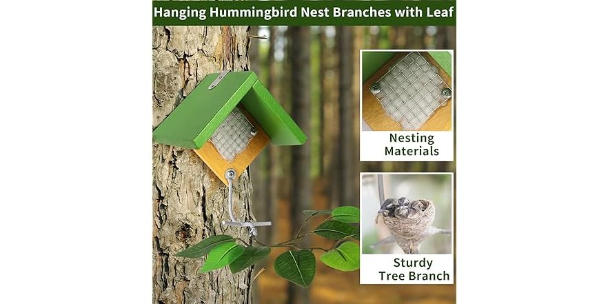 Hummingbird House
