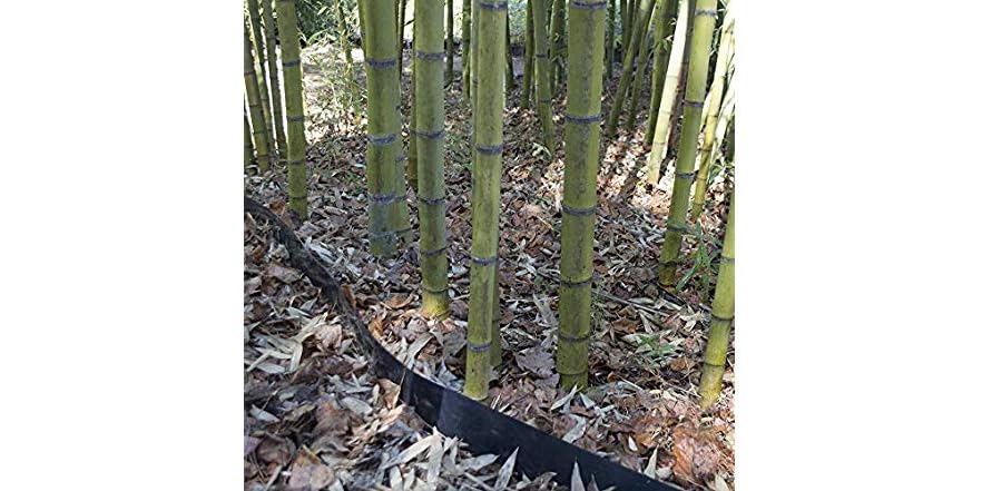 Bamboo Shield Root and Water Barrier