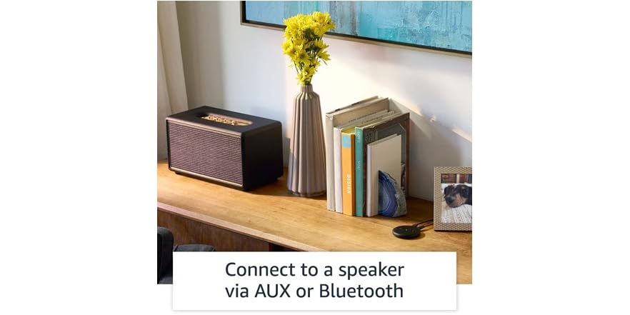 Echo Input – Bring Alexa to your speaker