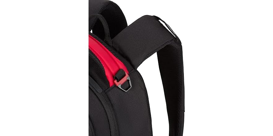 SwissGear Cecil 5505 Laptop Backpack, 18-Inch