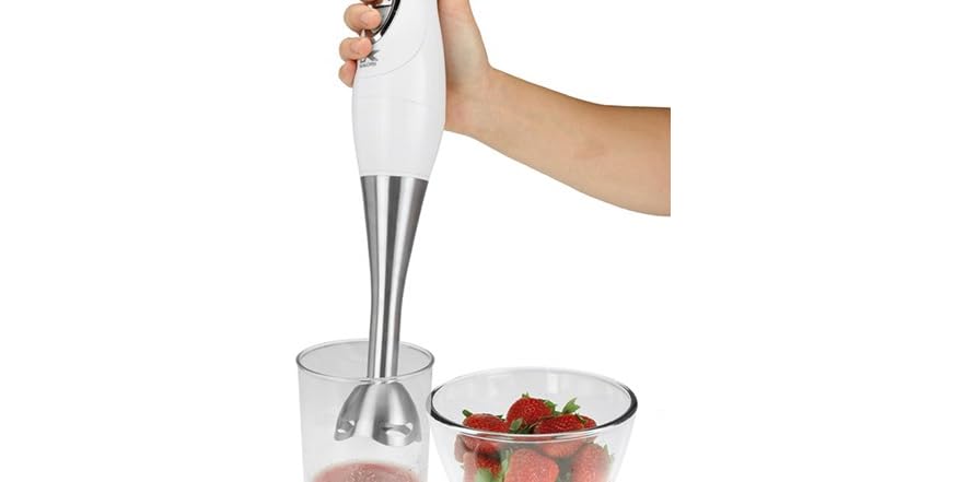 Stainless Steel Stick Mixer and Mixing Cup