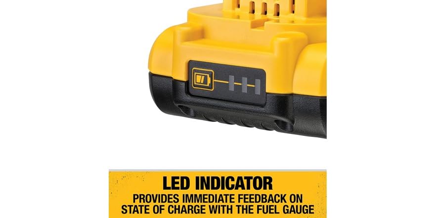 DEWALT DCB240-2C 20V MAX* Batteries w/DCB115
