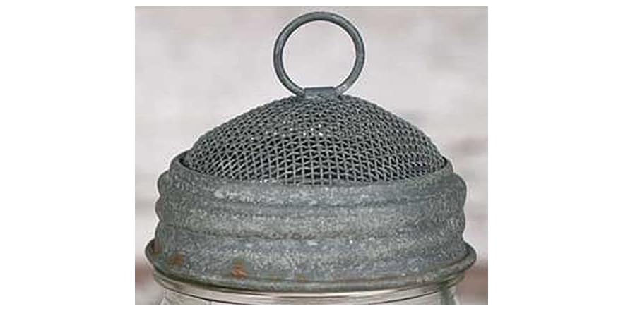 Mason Jar Screen Dome Lid