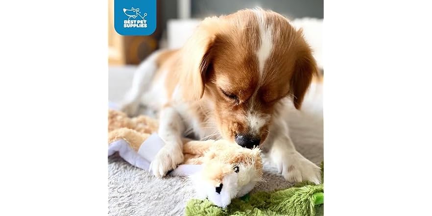 Best Pet Supplies 2-in-1 Squeaky Toys