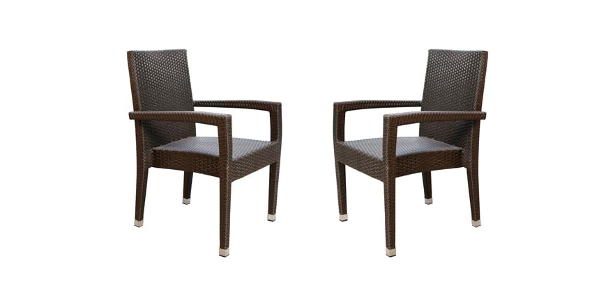 Kalani Outdoor Wicker Dining Chair (Set of 2)