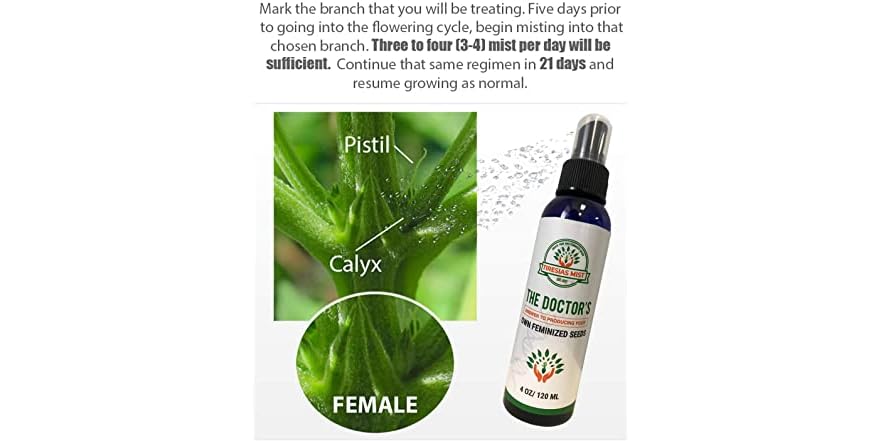 Feminized Seed Spray