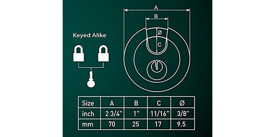 2-3/4", Self Storage disc lock