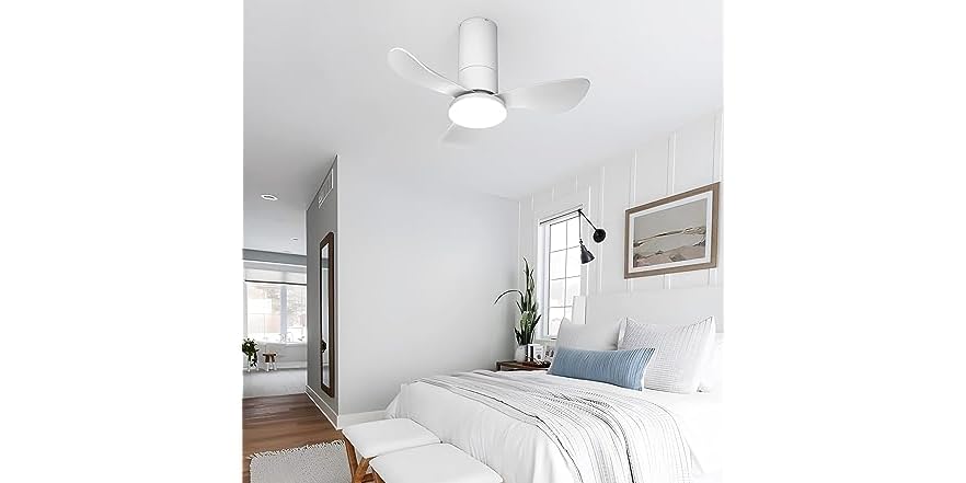 26 Inch Ceiling Fans with Lights